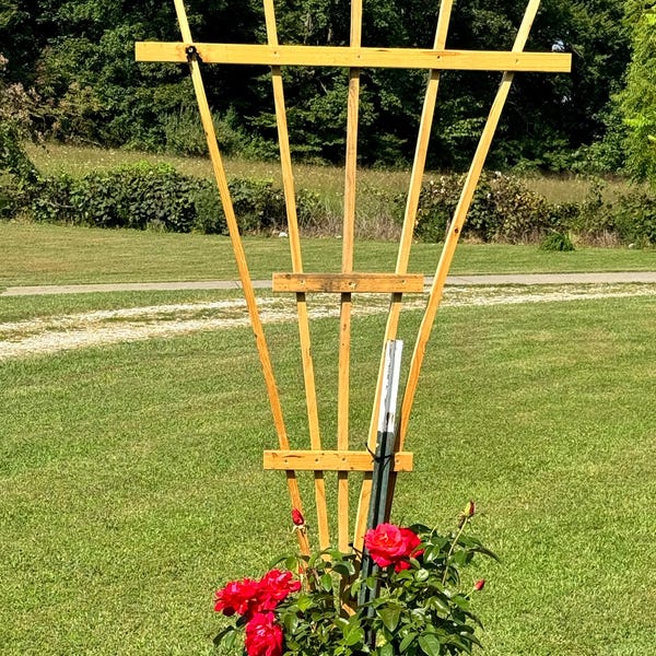 Garden Fan Trellis Plans / Garden Trellis / Trellis Plans / DIY Garden ...