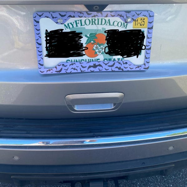 Frog License Plate Frame, Cute Cottagecore Frogs License Plate Cover ...