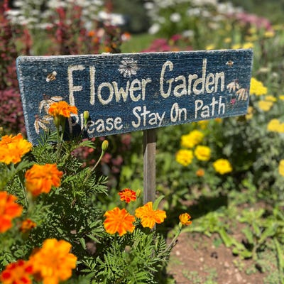 Strawberry Fields Forever,primitive Kitchen,garden Gift,farmhouse Decor ...