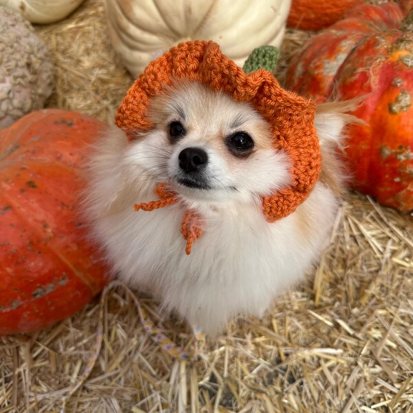 Santa Ruffle Dog Hat Crochet PATTERN - Etsy