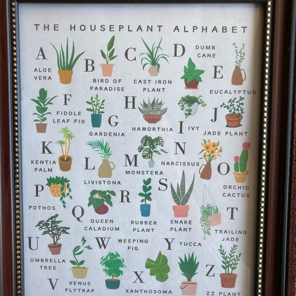 Houseplant Alphabet Print | Flowers/succulent/indoor Houseplant/tree ...