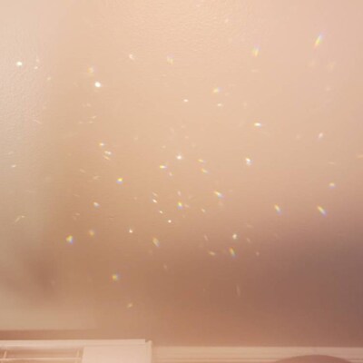 Luna Moth Celestial Window Sun Catcher Sticker / Rainbow Maker - Etsy