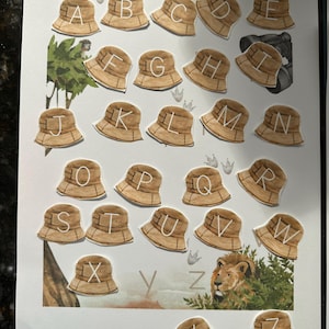 Bat Unit Study Bundle, Bat Study, Bat Life Cycle, Fall Montessori Unit ...