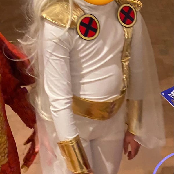 Berserk Brand of Sacrifice Symbol Logo Anime Manga 3D PVC Rubber Patch ...