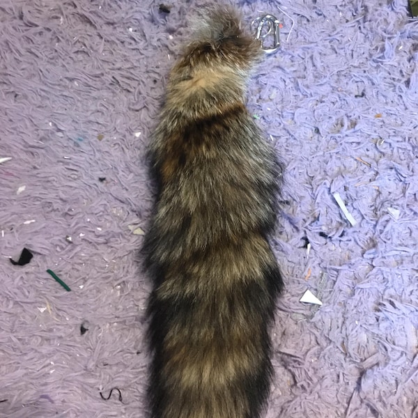 Professionally Soft Tanned Large #1 Grade Iowa Raccoon/coon Hide/pelt ...