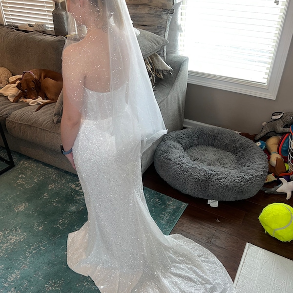 Open Front Removable Train With Horsehair Edging, Detachable Bridal ...