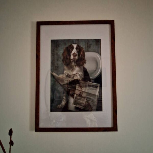 Springer Spaniel on Toilet Reading the Newspaper Bathroom Funny A4 Art ...