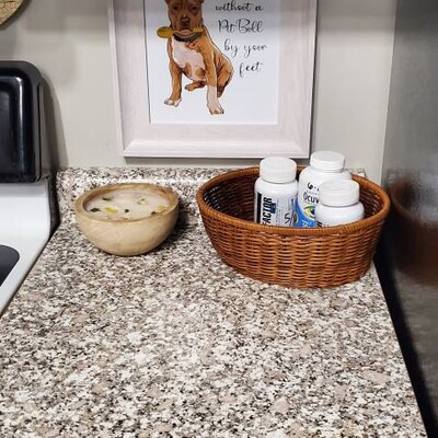 Pit Bull Art Pit Bull Print Pitbull Gift Pit Bull Decor - Etsy