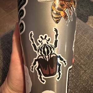 Pacific Northwest Wildlife Sticker Pack - Etsy