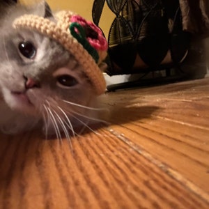 Pink Flower Summer Hat Cat Hats Cat Costumes Cat Accessories Cat ...