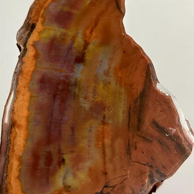 1 Lb. Dinosaur Bone Slab Gem Bone Agatized Silicated Dinosaur Bone Gem ...