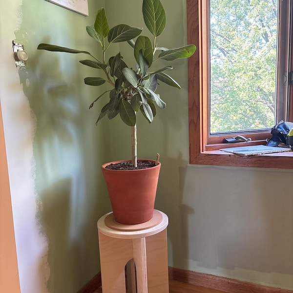 Modern Coffee Table, Asian Coffee Table, Wooden Coffee Table, Low ...