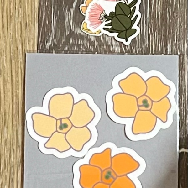 Choose Aloha Rainbow Sticker, Teal - Hawaii Sticker - Aloha Sticker ...