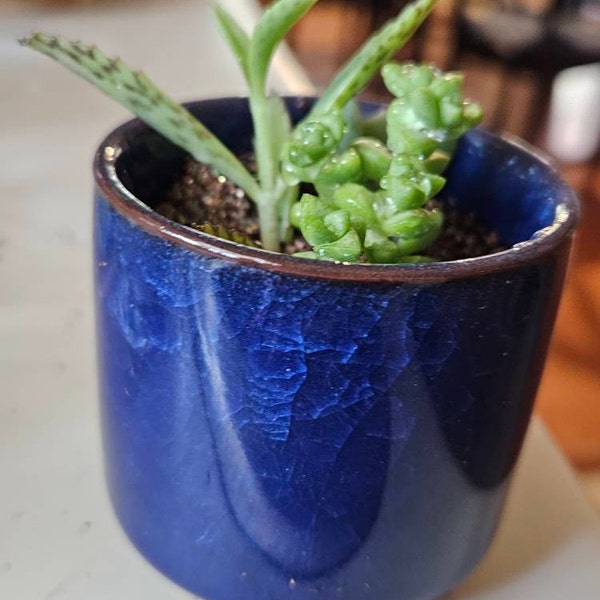 People Planter - "gamer" (#7) - Etsy