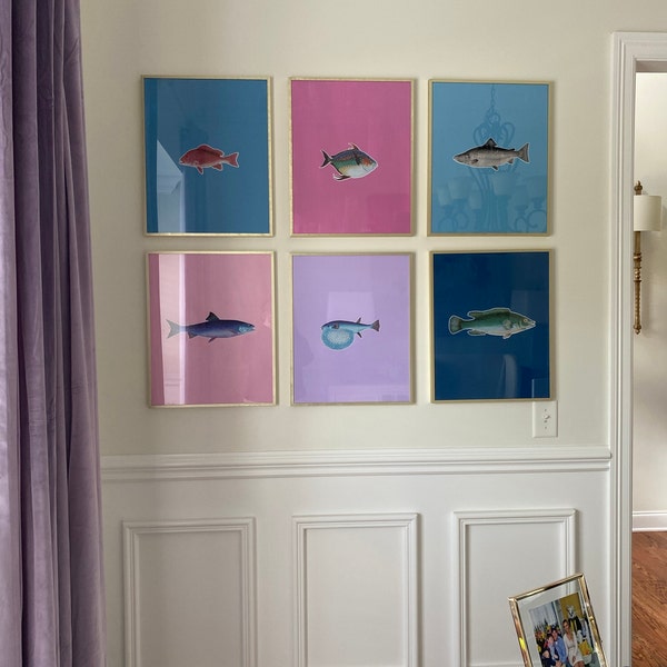 COLORFUL FISH Large Vinyl Stickers over 25 Large Stickers Vintage River ...