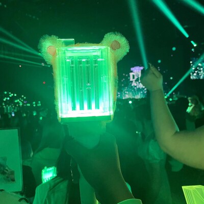 Neo Bong Light Stick Covers - Etsy