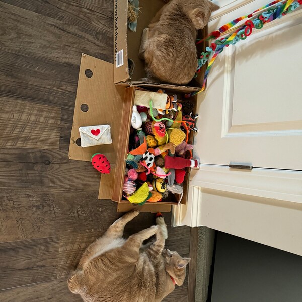 Catnip Doobie, Catnip Cat Toy, Joint, Blunt, Marijuana, Funny Cat Toy ...