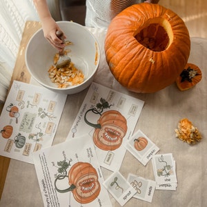 Pumpkin Unit Study Homeschool Learning Materials Charlotte Mason ...