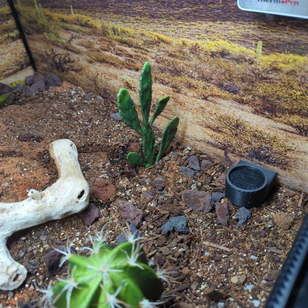 Terra-pod, Slow Wicking Ollas Style Pods for Invertebrate Bins ...