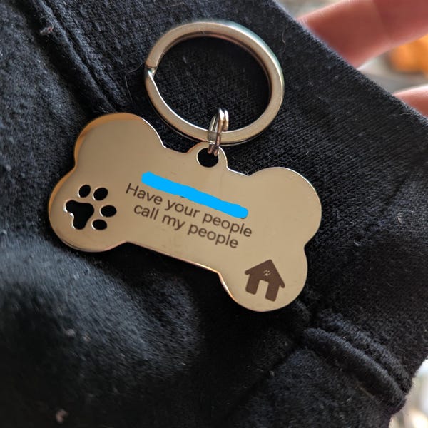 Cute Dog Tag Personalized for Dog, Custom Bone Dog Tags, Dog Name Tags ...