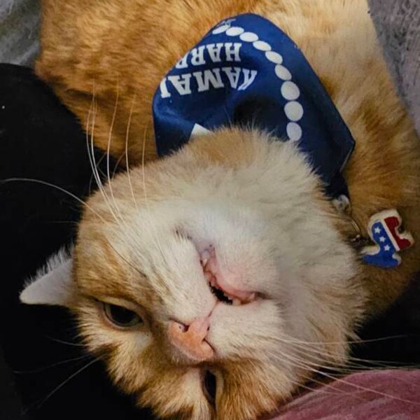 Golf Graduation Card, Graduation Card, Sports Graduation Card, Golf ...