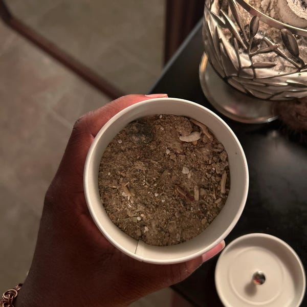 Blessed African Cowrie Altar Bell || Ancestor Veneration - Misa ...