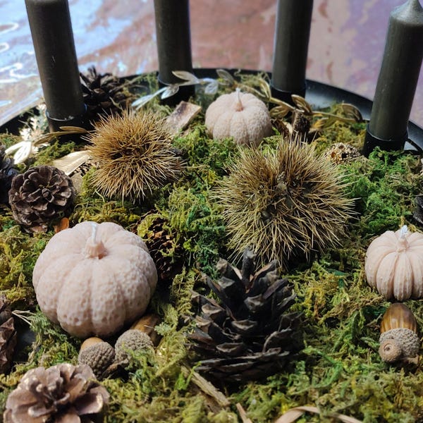 Alpaca Candle | Alpaca Candle | Spotted Alpaca | Spotted Alpaca ...