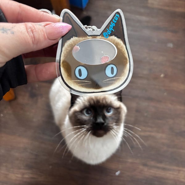 Biting Kitty Clips - Cat Journaling Clips - Cat Chip Clips - MAGNET ...