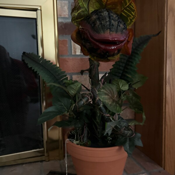 Massive Life Size Audrey 2 Replica Movie Prop Little Shop of Horrors ...