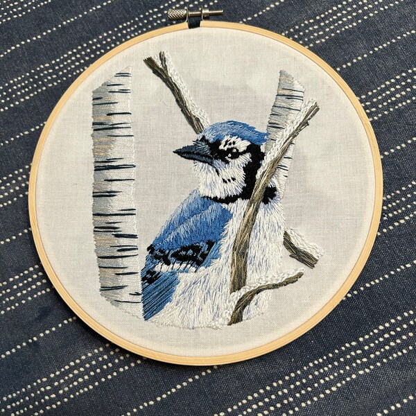 Blue Jay Embroidery Kit, Complete Kit, Detailed Instructions, DMC Floss ...