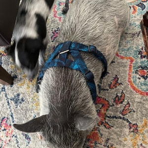 Cotton Mini Pig Harness You Choose Fabric - Etsy