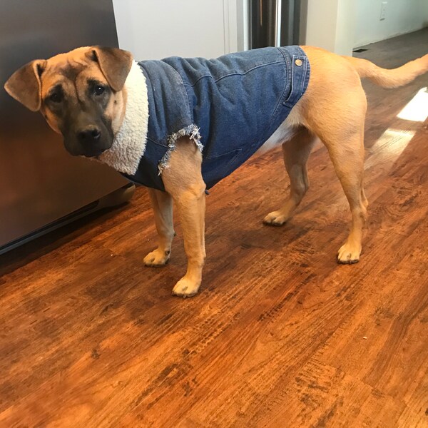 Denim Dog Vest / Dog Jacket / Sherpa Denim Dog Coat / Dog Denim / Cool ...