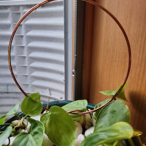 Copper Plant Trellis Houseplant Support Wire Stake - Etsy