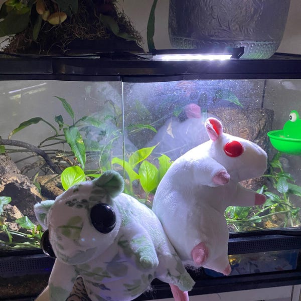 Rat Plushie Sewing Pattern Photo Tutorial, Mouse Stuffed Animal PDF ...