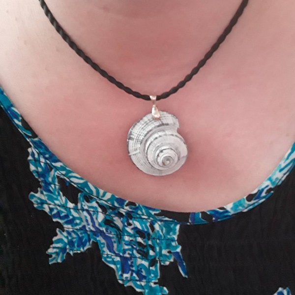 Seashell Necklace, Seashell Pendant, Shell Pendant, Beach Jewelry, Real ...