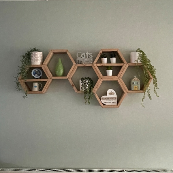 Set of 6 Hexagon Shelves Hexagon Shelf Geometric Shelf Plant Shelf ...