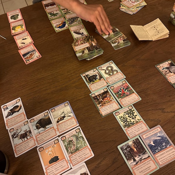 Ecologies Card Game - Gameplay Inspired by Nature - Use Science to ...