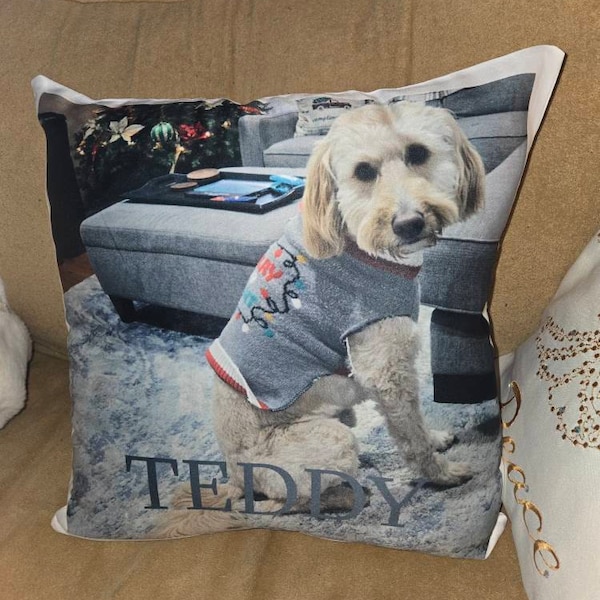 Create Your Own Decorative Throw Pillow With Personalized Photos and ...