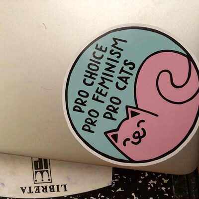 Pro Cats Sticker // Vinyl Sticker, Cute Stationery, Planner Stickers ...