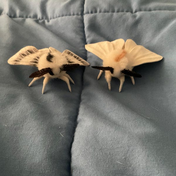 Luna Moth, True to Size, Needle Felted, Posable, Suede,moth Figurine ...