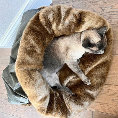 PRE-ORDER Teddy FLOOF for People Escape Den Cuddle Cave Dog Bed for ...