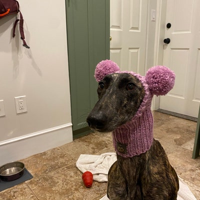 Yellow Cat Hat Hand Knit Sphynx Cat Accessories Pet Winter - Etsy