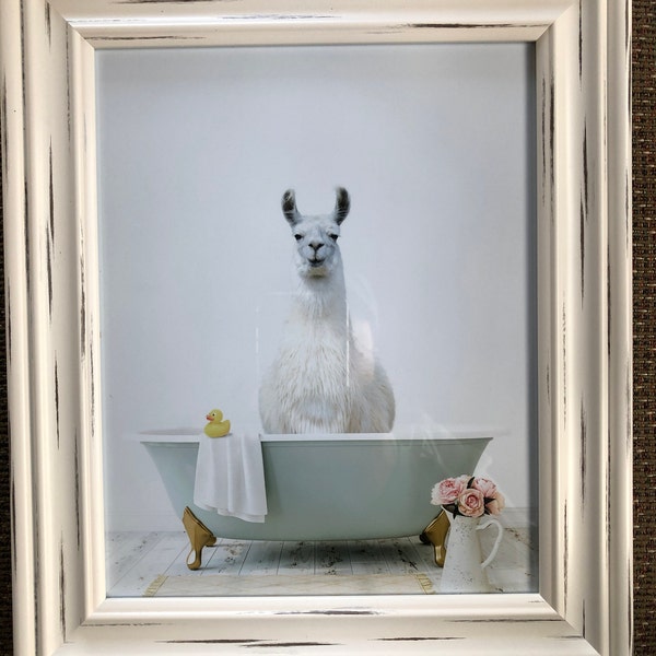 Llama in a Vintage Bathtub, Cottage Rose Bath Style, Llama in Tub ...