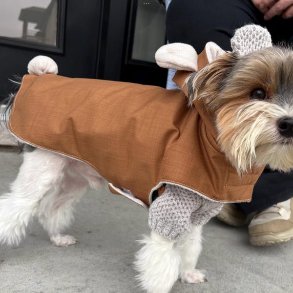 PDF Pattern and DIY Tutorial How to Sew a Dog Girl Bandana With Ruffle ...