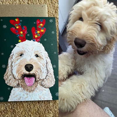 Red/golden Cockapoo Christmas Card - Etsy