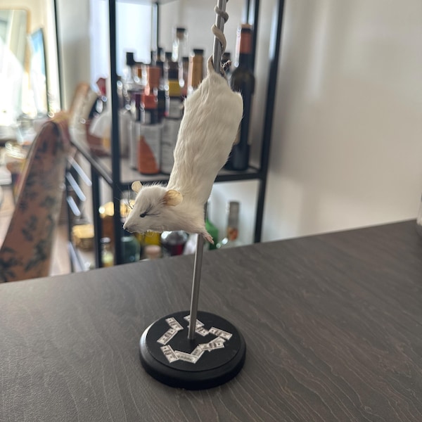 Taxidermy Pole Dancing Stripper Mouse Unusual Oddities Homeware Gothic ...
