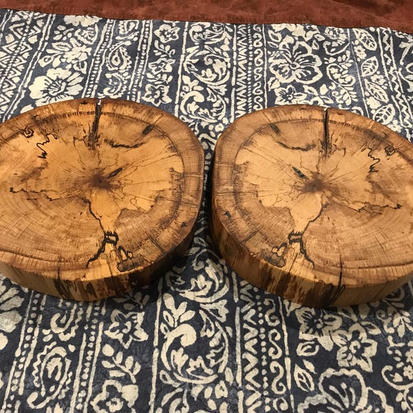 Spalted Mountain Maple Wood Round: Reclaimed Wood Trivet, Candle Holder ...