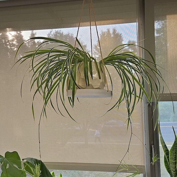 Plant Daddy Planter, Plant Dad Pot, 3D Printed Planter, Indoor Planter ...