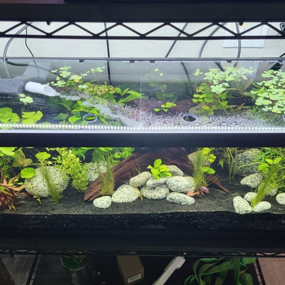 10 Gallon Aquarium Lid Reversible for Hang on Back Filters Clear ...