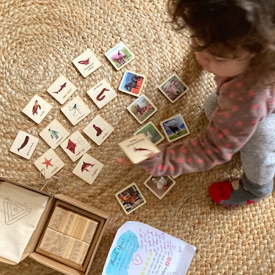 Montessori and Waldorf Learning Sea Life Animals Sustainable Match Toys ...